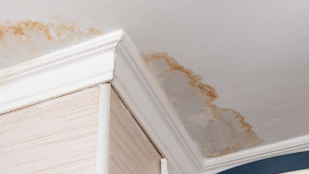 Remove Copper Stains | C and J Water
